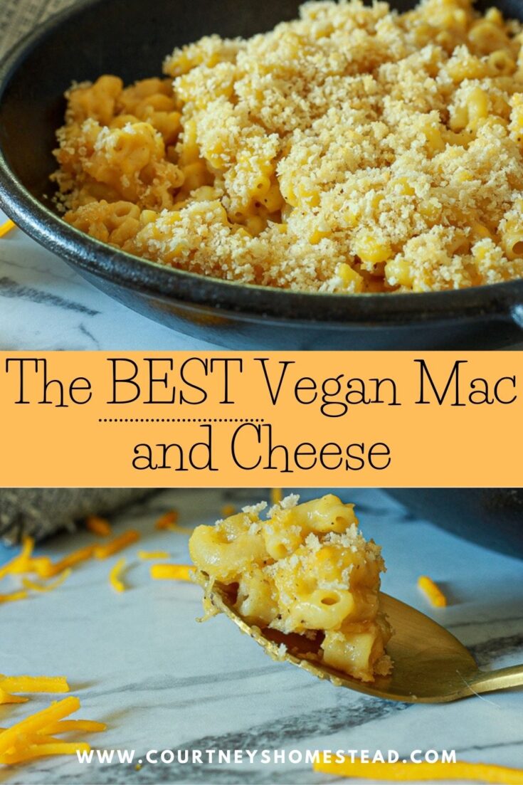 Vegan Baked Mac and Cheese (The BEST) - Courtney's Homestead