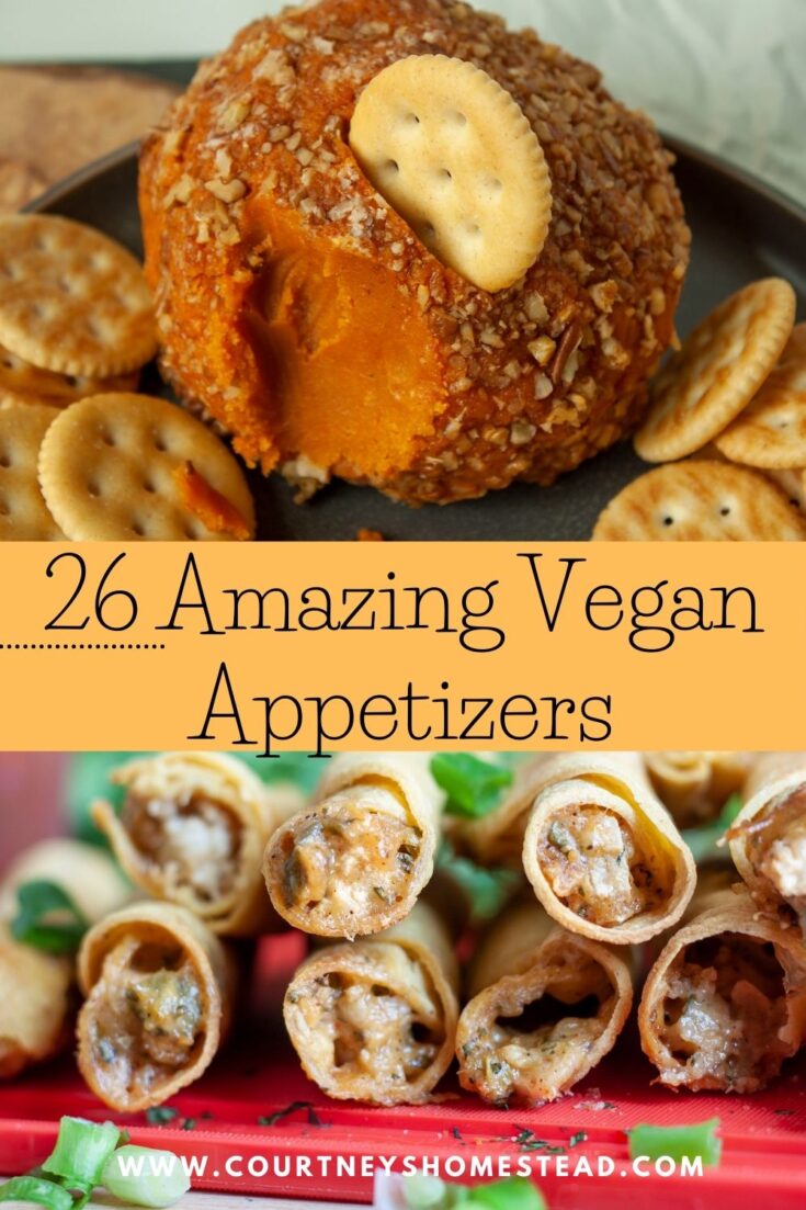 26 Vegan Appetizer Recipes - Courtney's Homestead