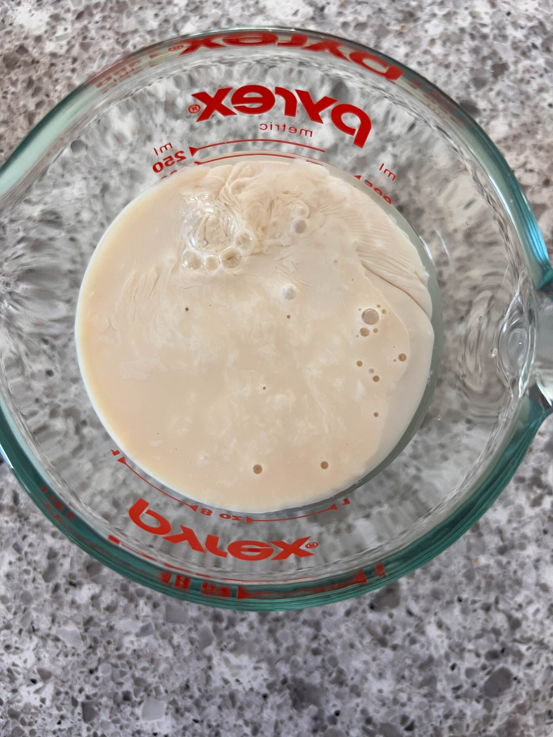 Easy Vegan Buttermilk (2 ingredients) - Courtney's Homestead