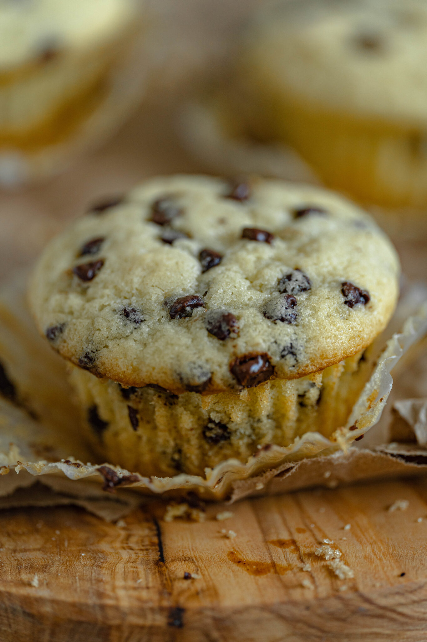 Vegan Chocolate Chip Muffins Recipe - Courtney's Homestead