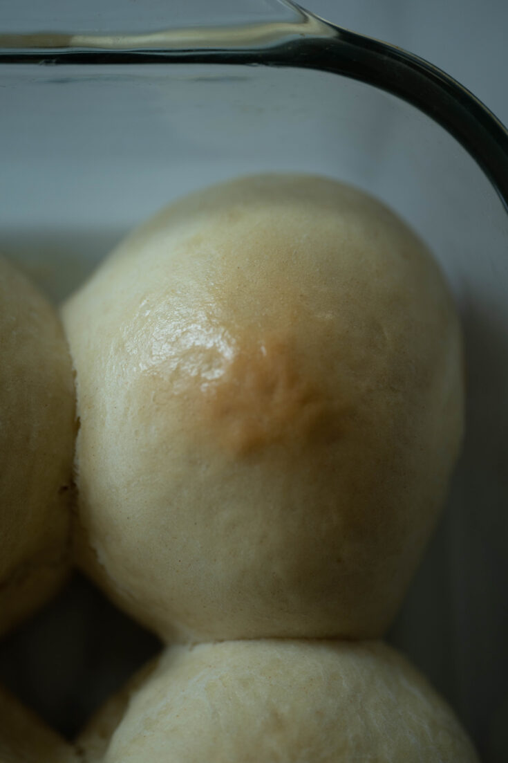 The Best Vegan Egg Wash Substitute - Courtney's Homestead