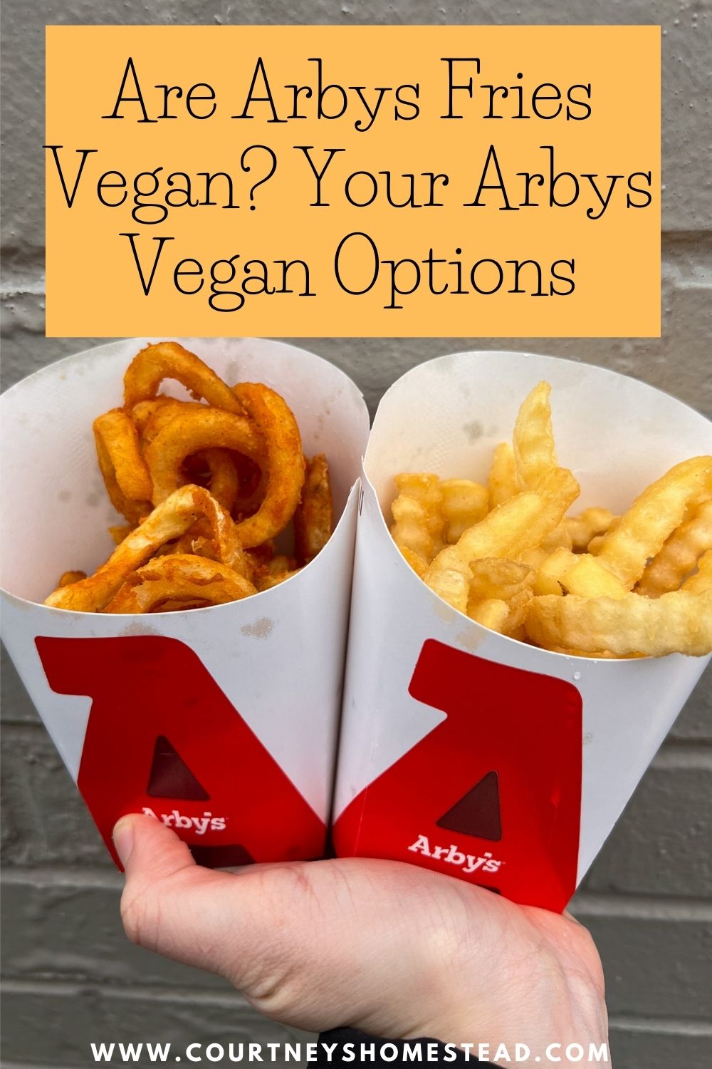 Are Arbys Fries Vegan? (plus vegan options 2023) - Courtney's Homestead